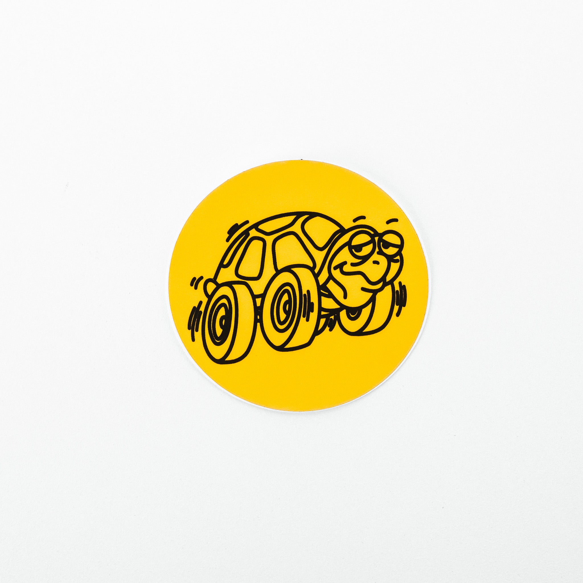 Turtle Dude – overcrest